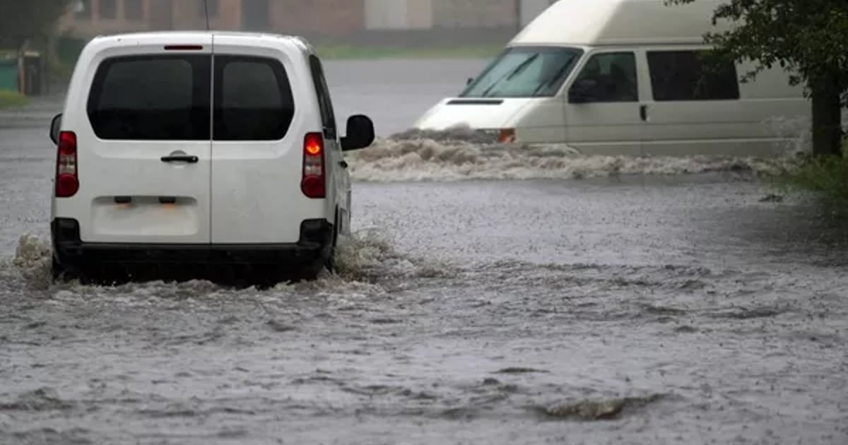 Flood loss vs. water loss: know the critical difference | IA Near Me
